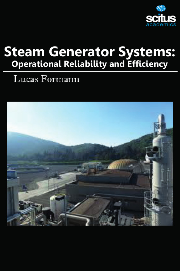 Steam Generator Systems: Operational Reliability and Efficiency ...